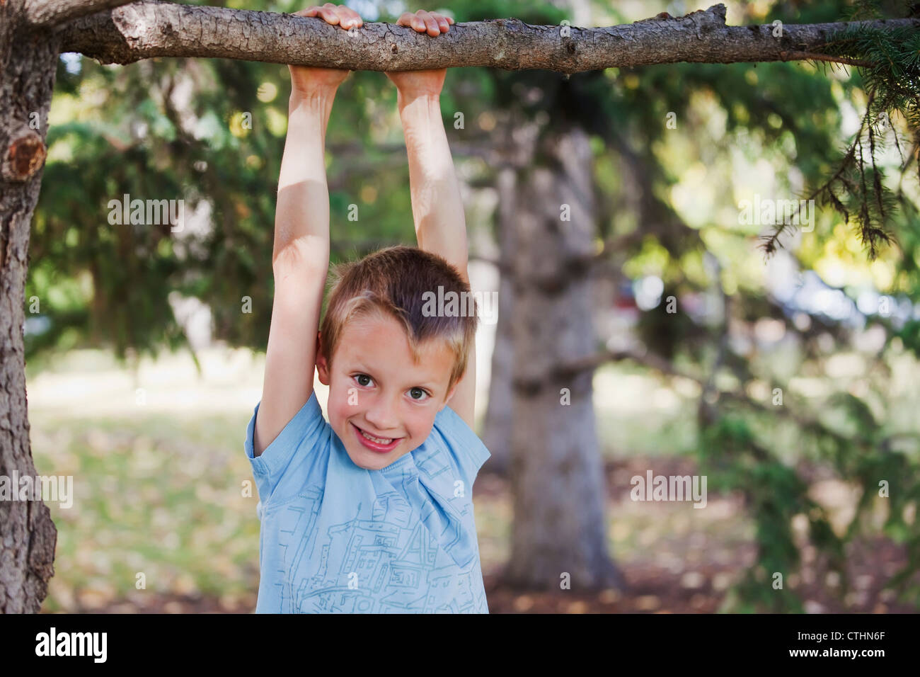 Young Boy Hanging From A Tree Limb In A Park In Autumn; Edmonton ...