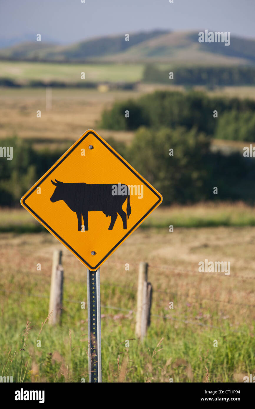Cattle crossing sign hi-res stock photography and images - Alamy