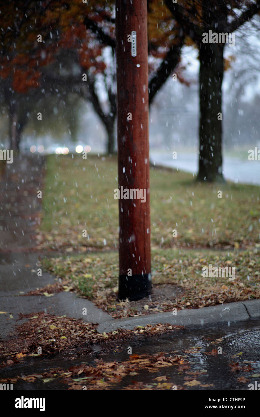 Snow falling on a street corner on a dim day Stock Photo - Alamy