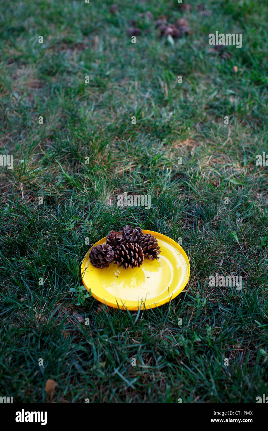 Grass logo hi-res stock photography and images - Alamy