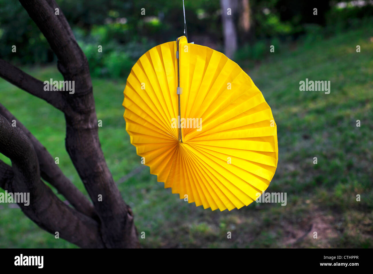 Yellow decorative fan circle hanging outside Stock Photo - Alamy