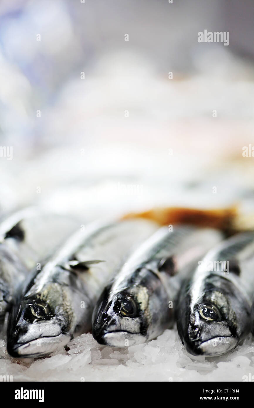 Fresh fish is displayed in a supermarket Stock Photo - Alamy
