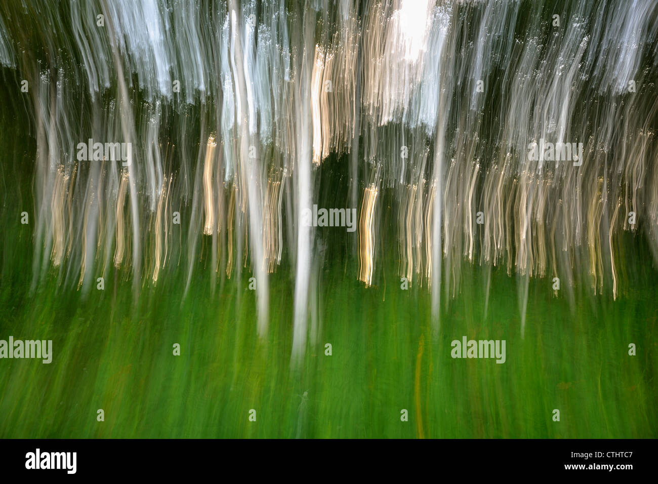 Lively grove hi-res stock photography and images - Alamy