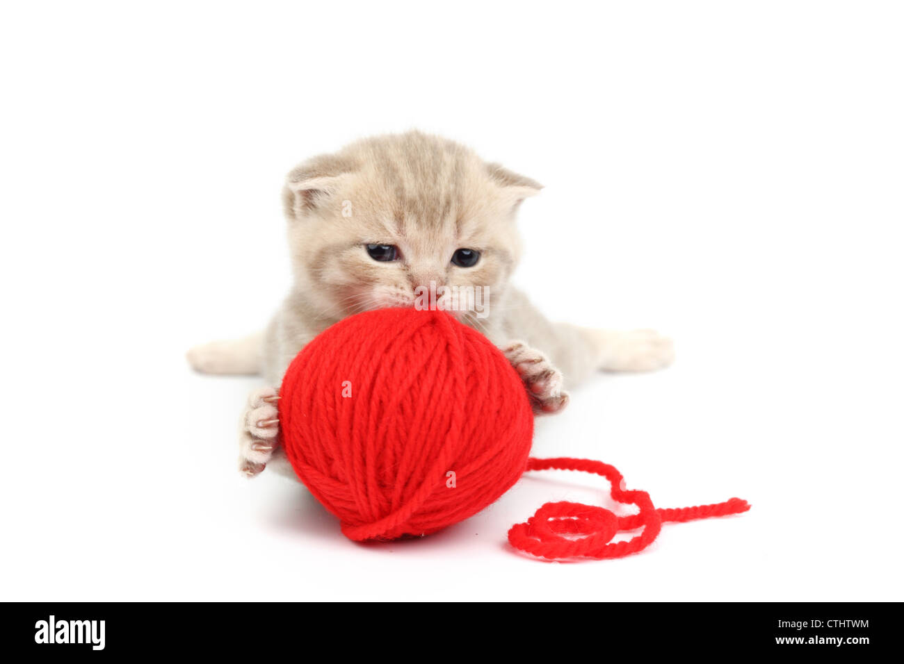 Little red thread hi-res stock photography and images - Alamy