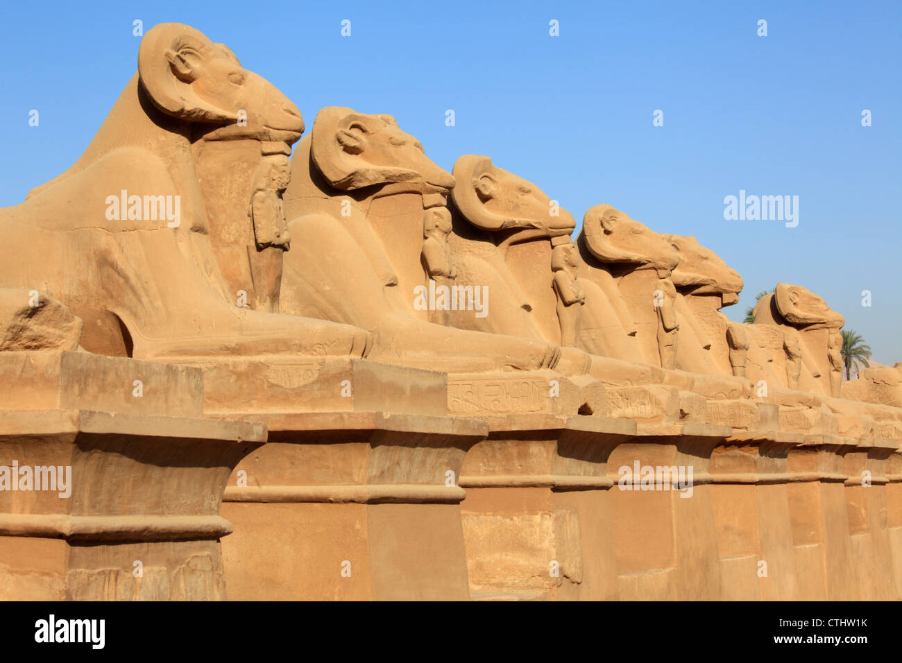 Statues Of Rams High Resolution Stock Photography and Images - Alamy