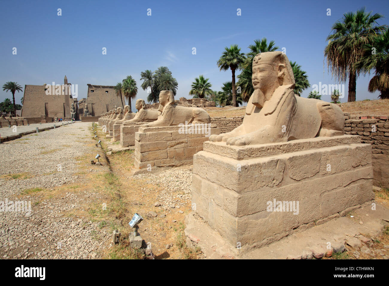 Sphinxes road at Luxor Temple, Luxor, Egypt Stock Photo - Alamy