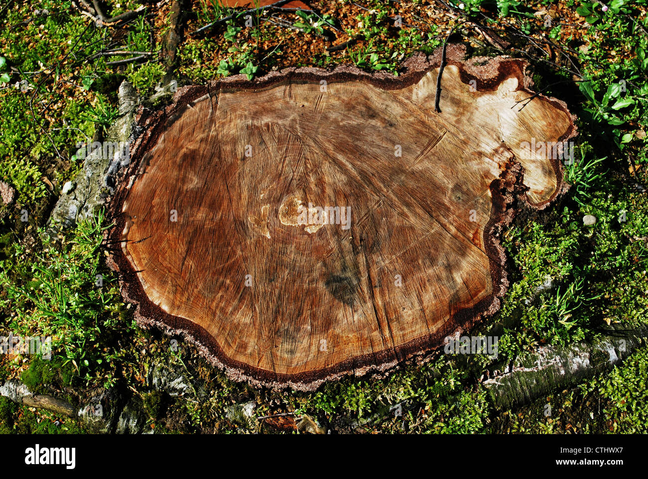 Design cut into grass hi-res stock photography and images - Alamy