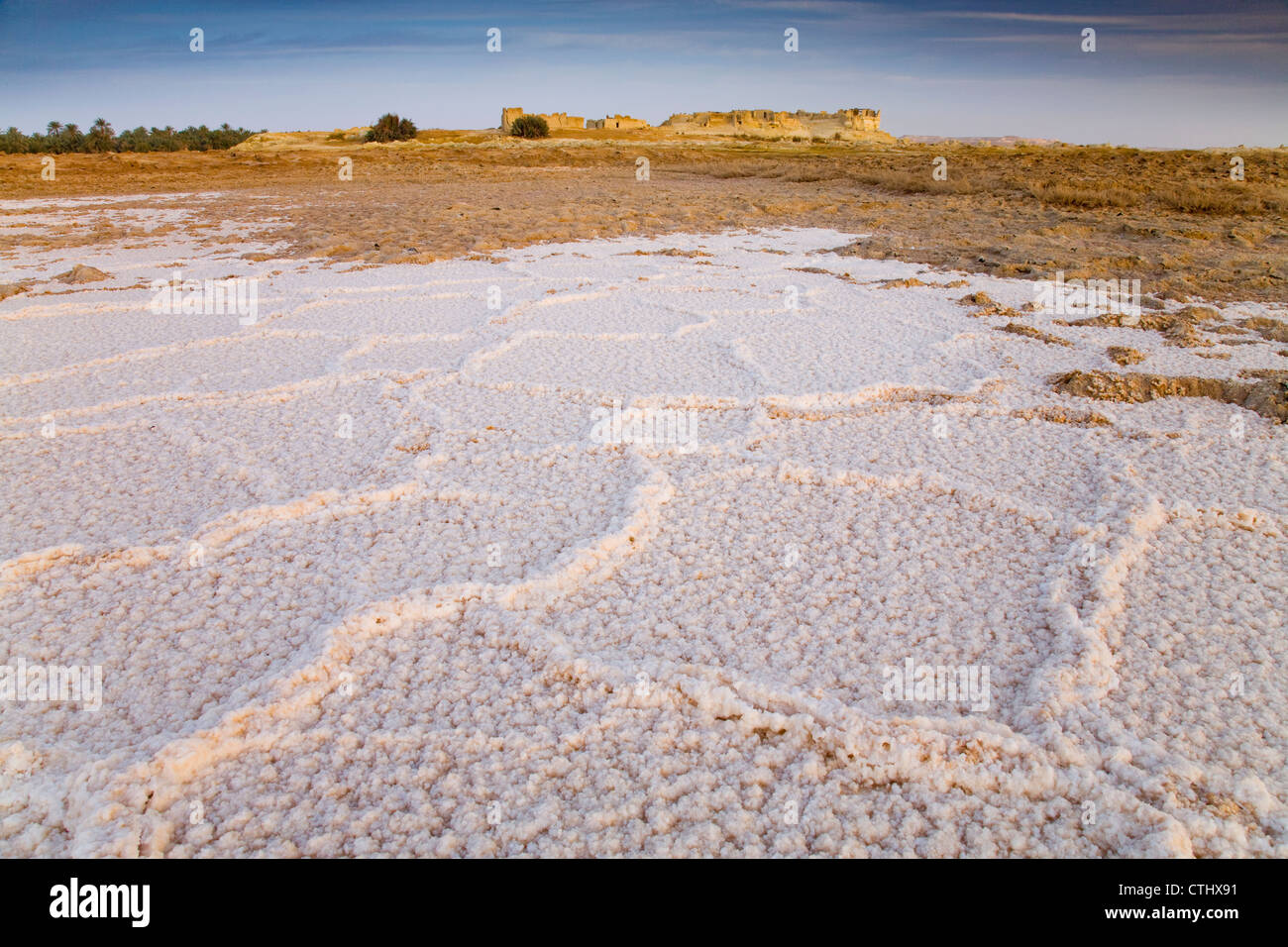 Dried Salt Deposits From A Dried Up Water Source On The Outskirts Of ...