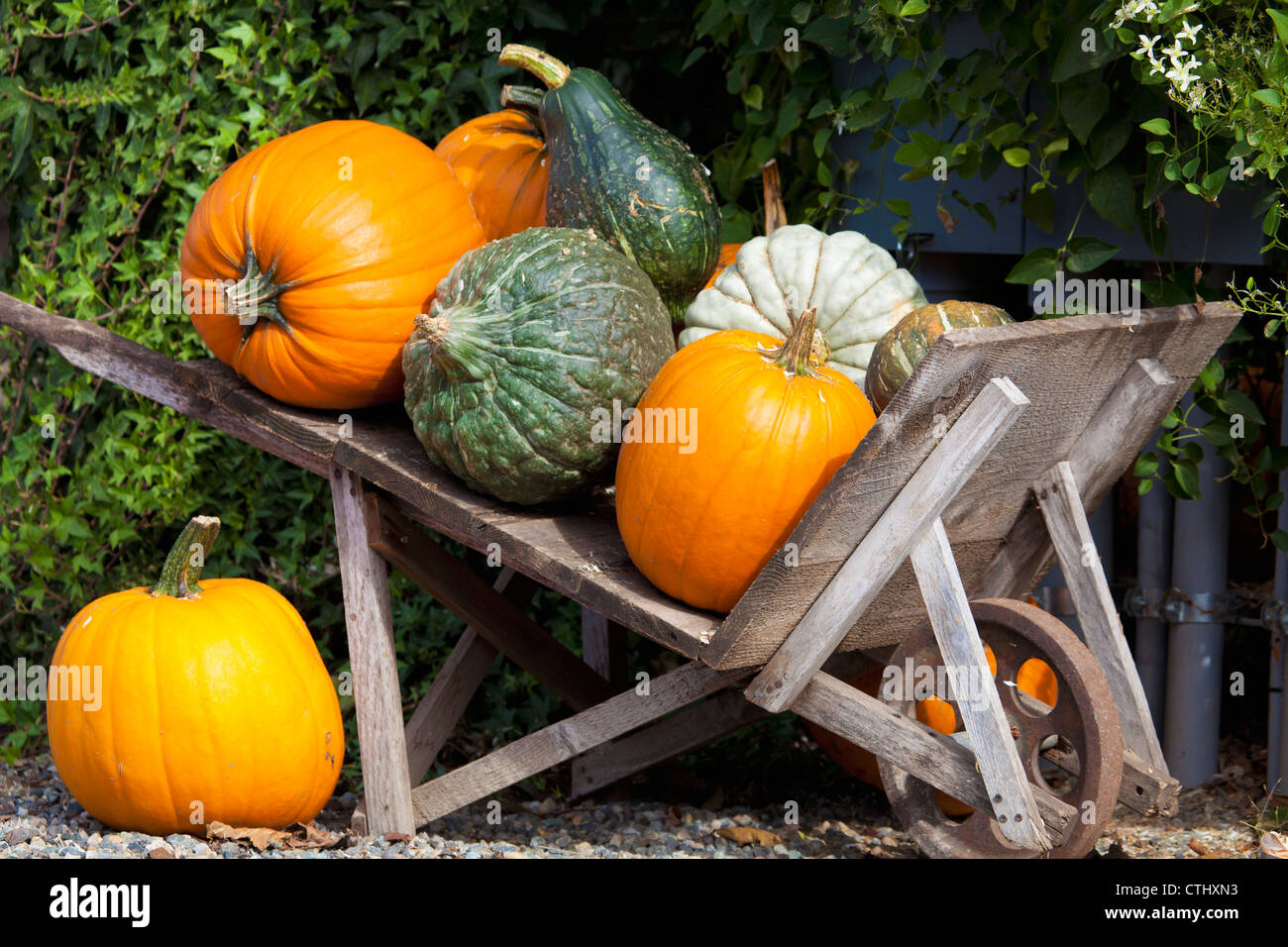 Old fashioned agriculture crop crops hi-res stock photography and ...