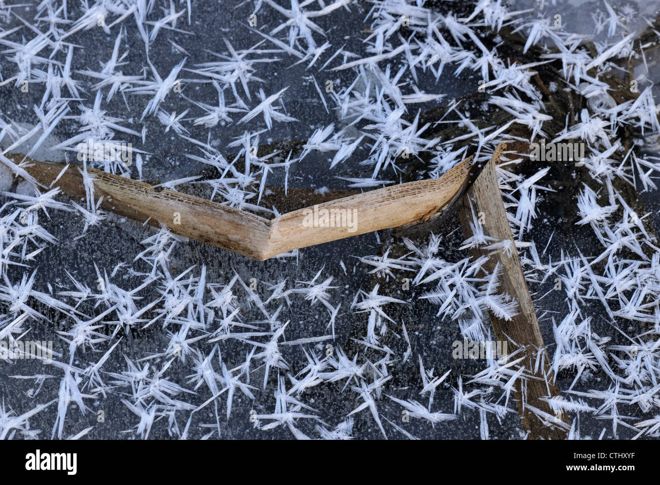 Ice patterns in a frozen puddle of water hi-res stock photography and ...