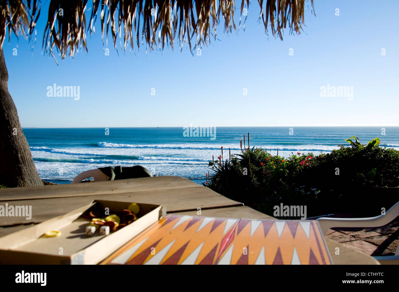 Baja mexico flowers hi-res stock photography and images - Alamy