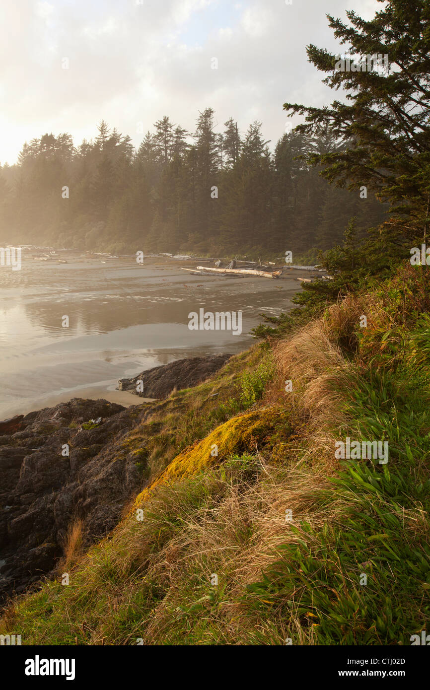 Mist And Fog Form Over The Beach At Incinerator Rock Area Of Long Beach ...