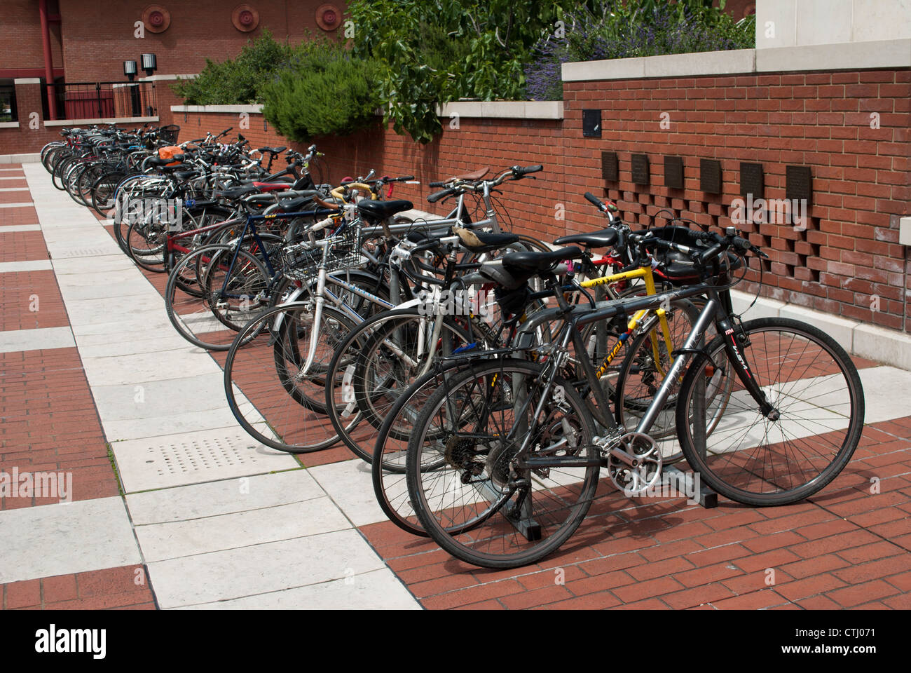 Rack of bicycles at British Library Stock Photo - Alamy