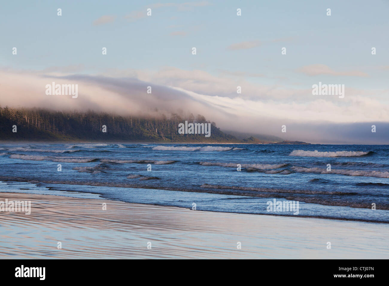 Fog Forms Over The Temperate Rainforest Along Long Beach In Pacific Rim ...