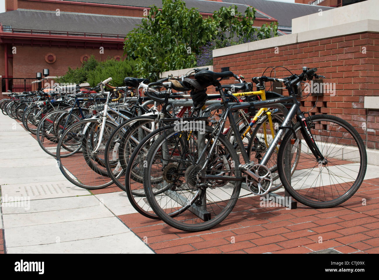 Rack of bicycles at British Library Stock Photo - Alamy