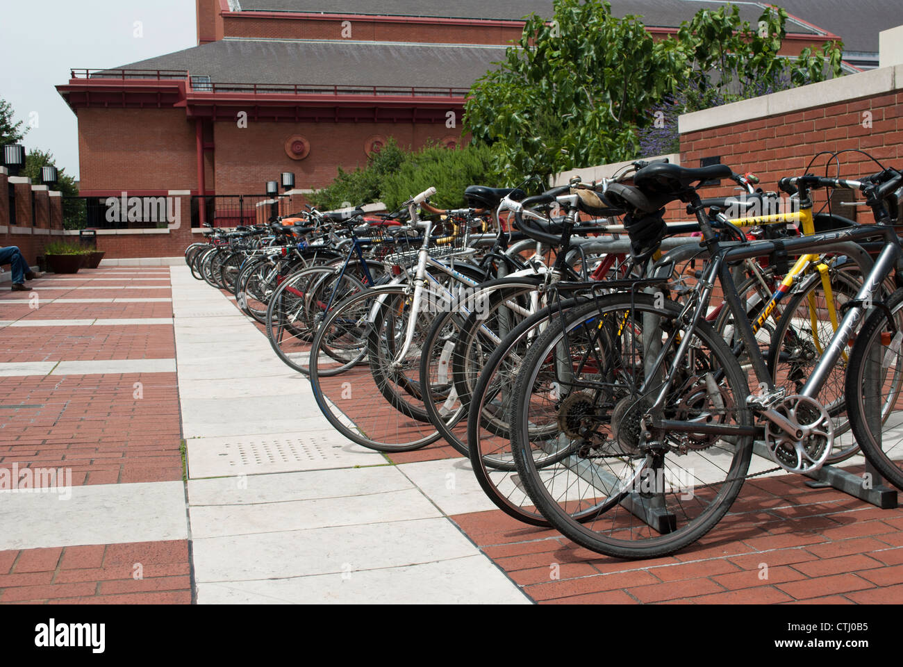 Rack of bicycles at British Library Stock Photo - Alamy