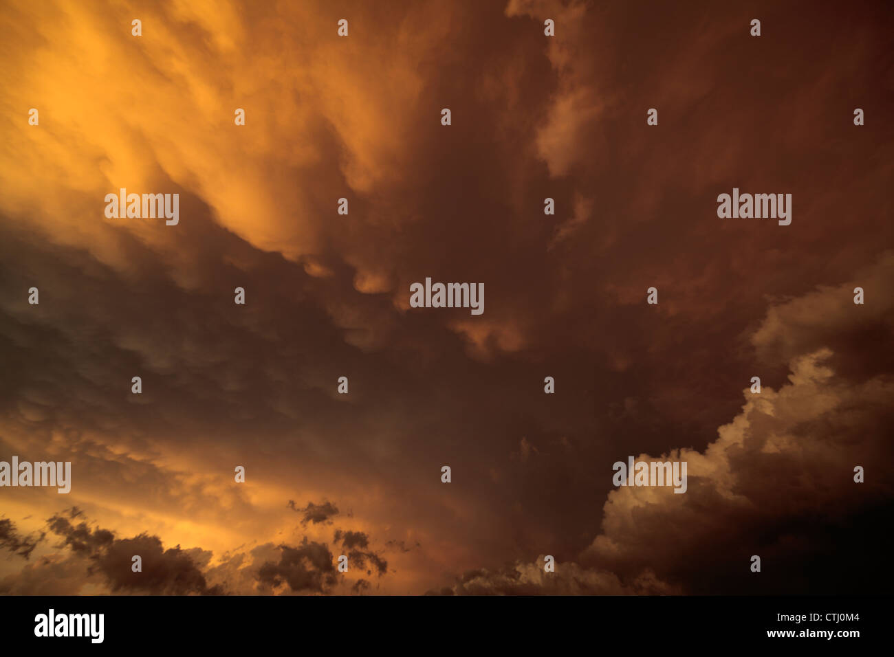 Deeply colored mammatus and cumulus field of a passing thunderstorm at ...