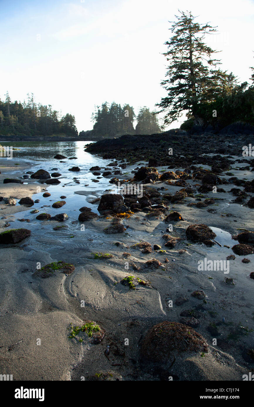 Ucluth Beach At Wya Point Near Ucluelet On Vancouver Island; British ...