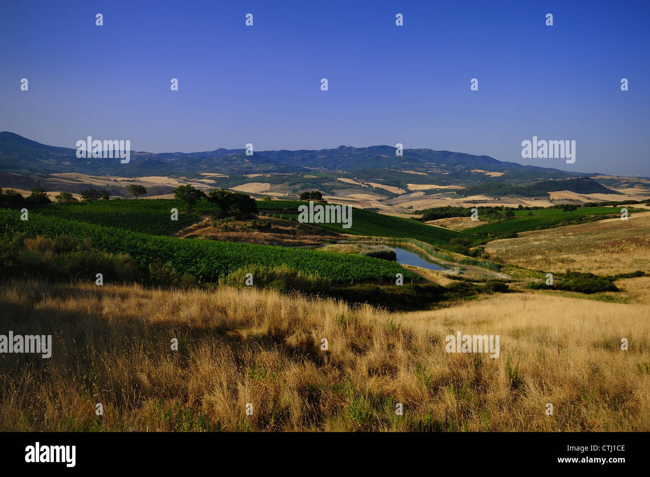A country landscape in sumer time in Tuscany Stock Photo - Alamy