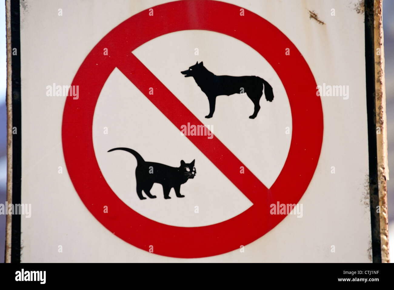 "cats and dogs forbidden" official road sign Stock Photo - Alamy