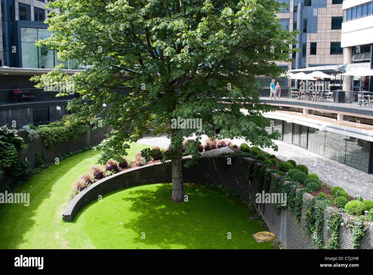 Large london plane tree hi-res stock photography and images - Alamy