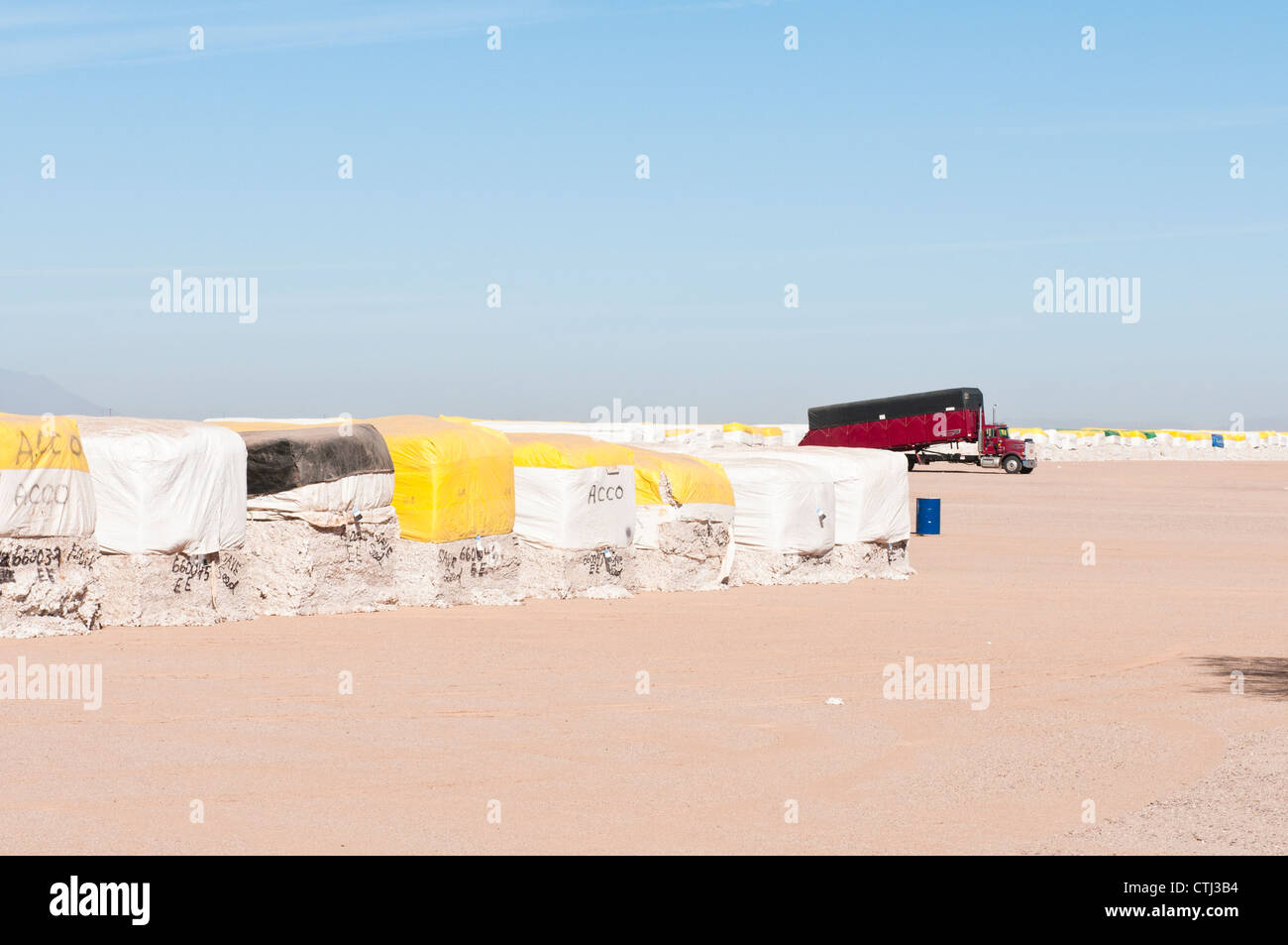 Cotton modules are transported by truck from the fields to a cotton gin ...