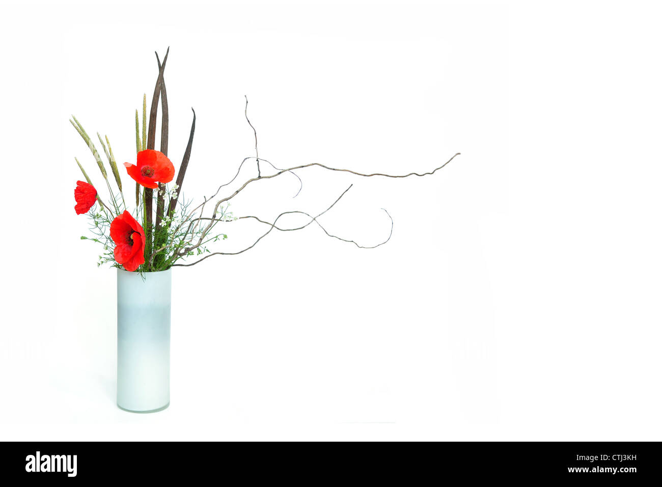 three red poppy ikebana nageire on white background Stock Photo - Alamy