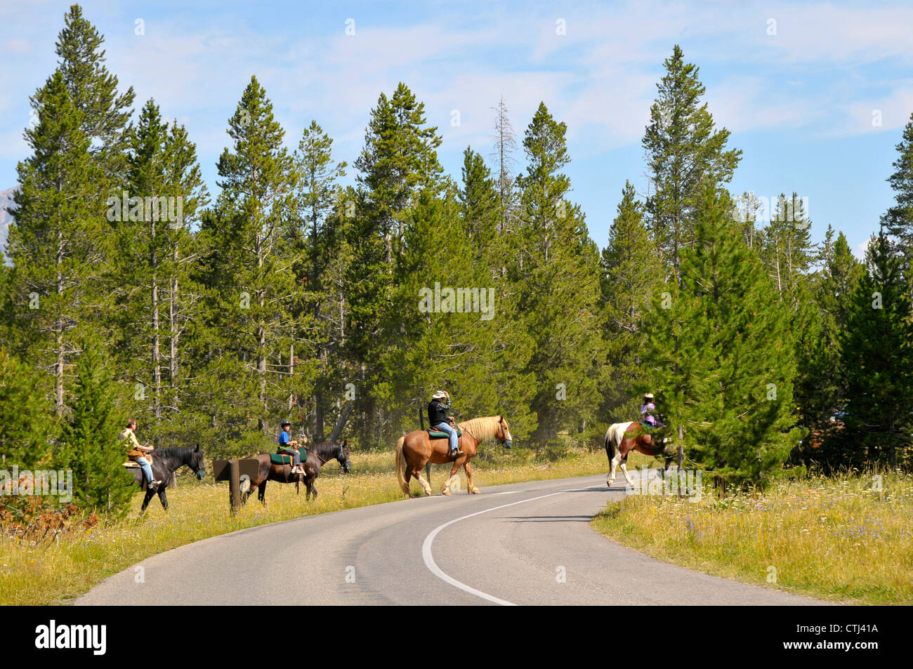 Horseback Riding Grand Teton National Park Wyoming WY United States ...