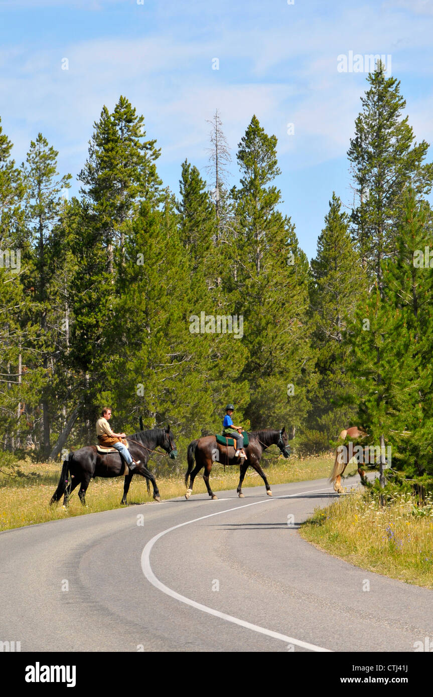 Horseback Riding Grand Teton National Park Wyoming WY United States ...