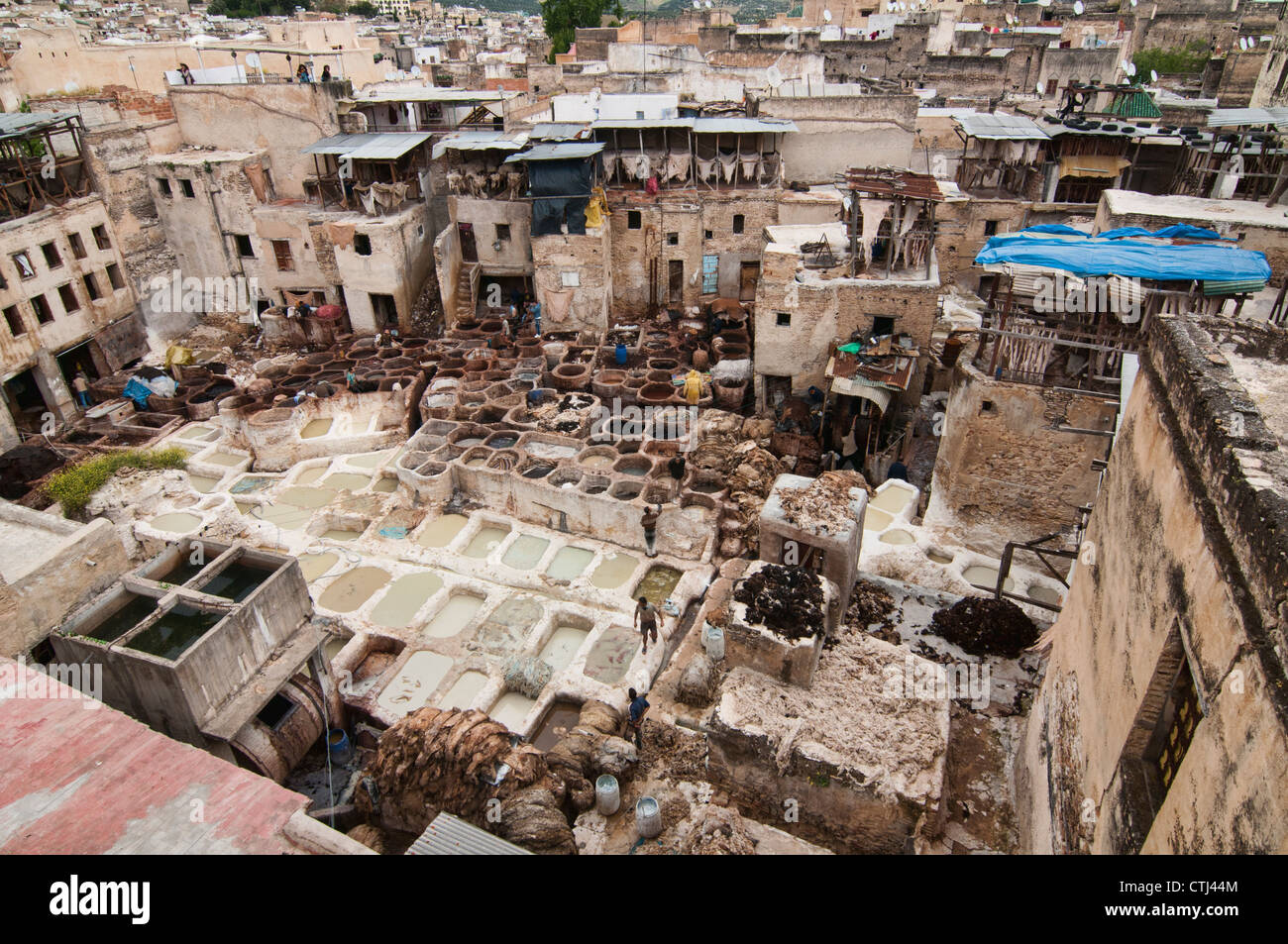 the thousand year old leather tanneries in the ancient medina of Fes ...