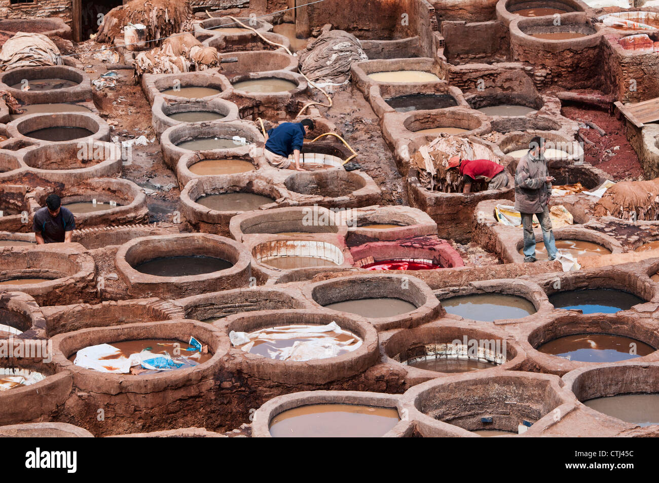 worker in the thousand year old leather tannery in the ancient medina ...