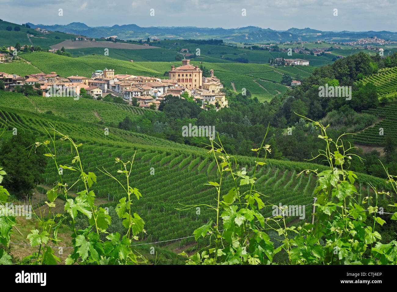 Castell di barolo hi-res stock photography and images - Alamy