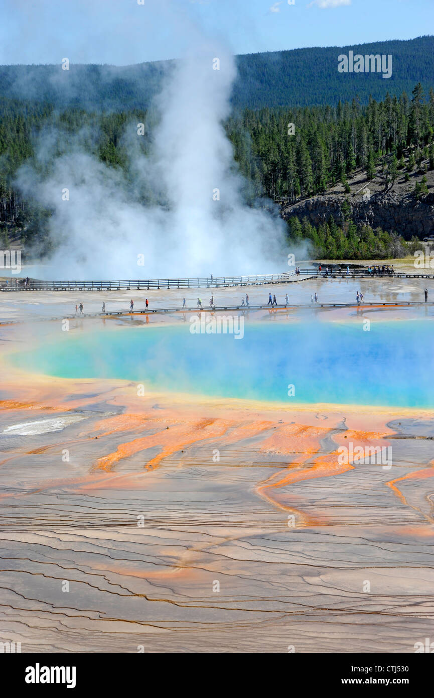 Grand Prismatic Spring Pool Midway Geyser Basin Yellowstone National ...