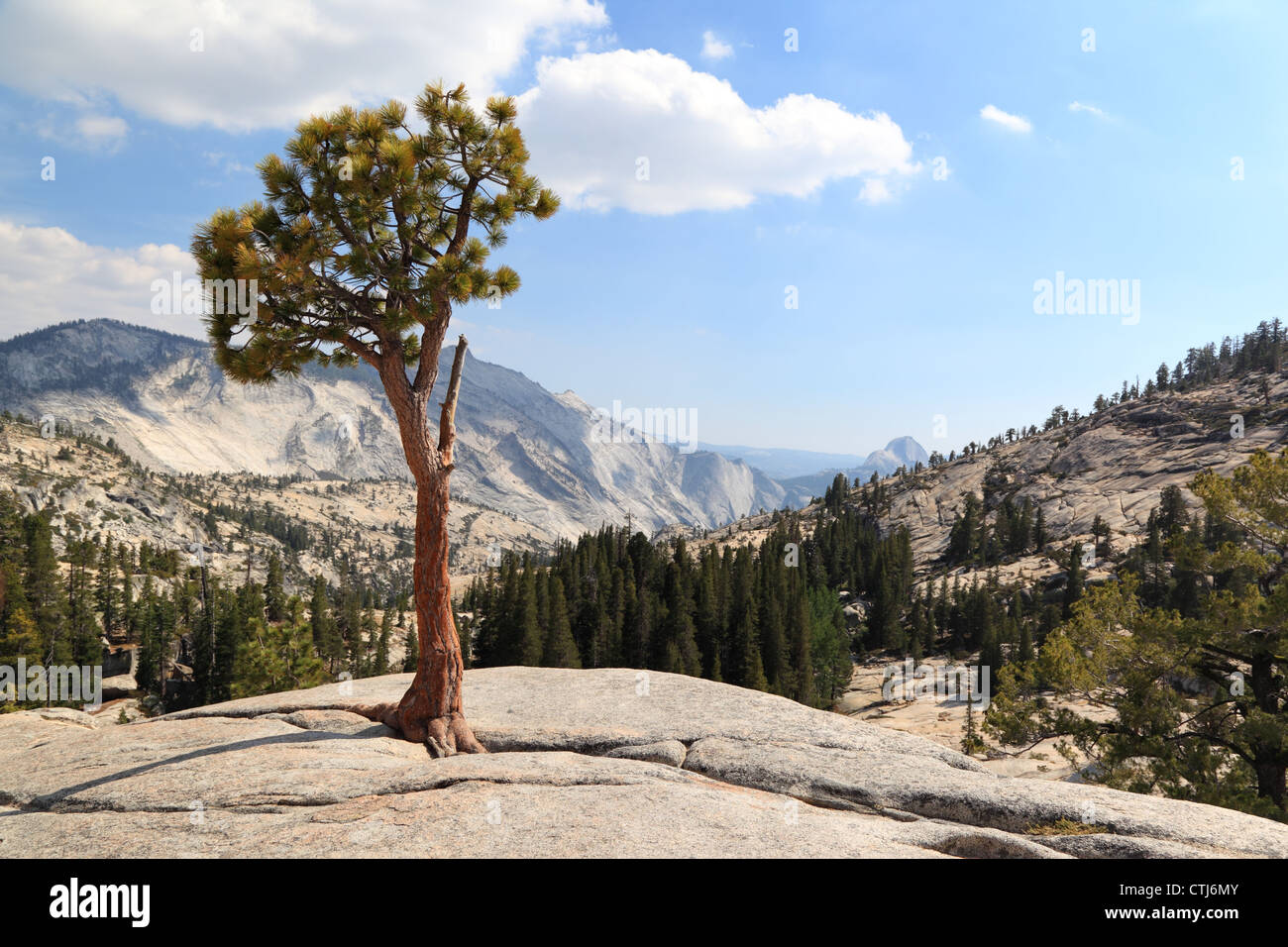 Geology of yosemite national park hi-res stock photography and images ...