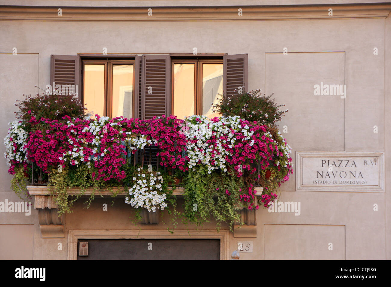 Flowers on a european window Stock Photo - Alamy