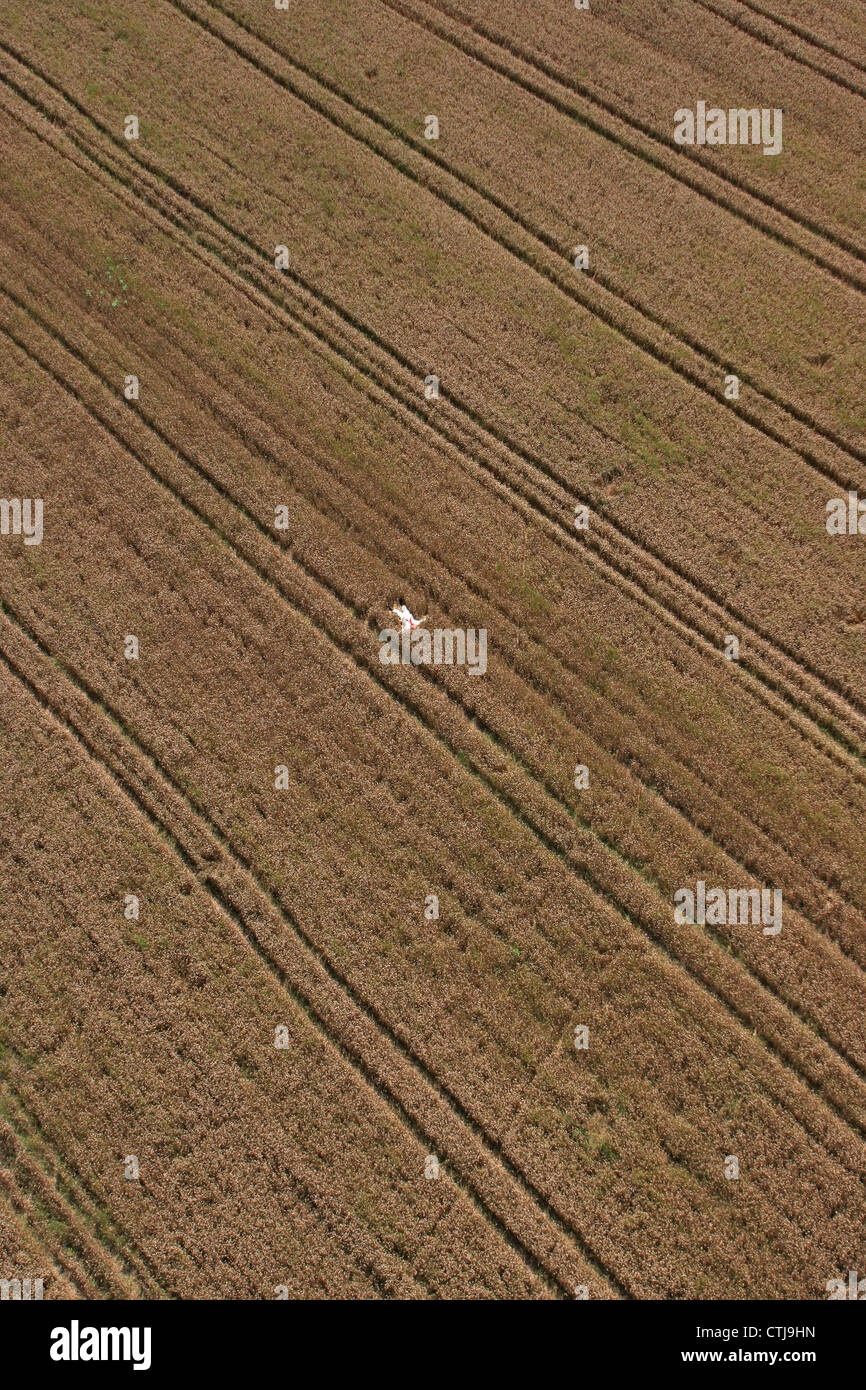 Aerial View: man in wheat field Stock Photo - Alamy
