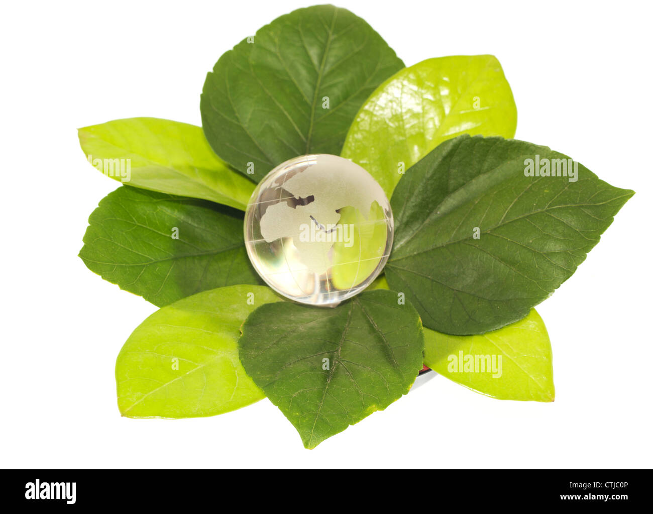 Green leaf globe hi-res stock photography and images - Alamy