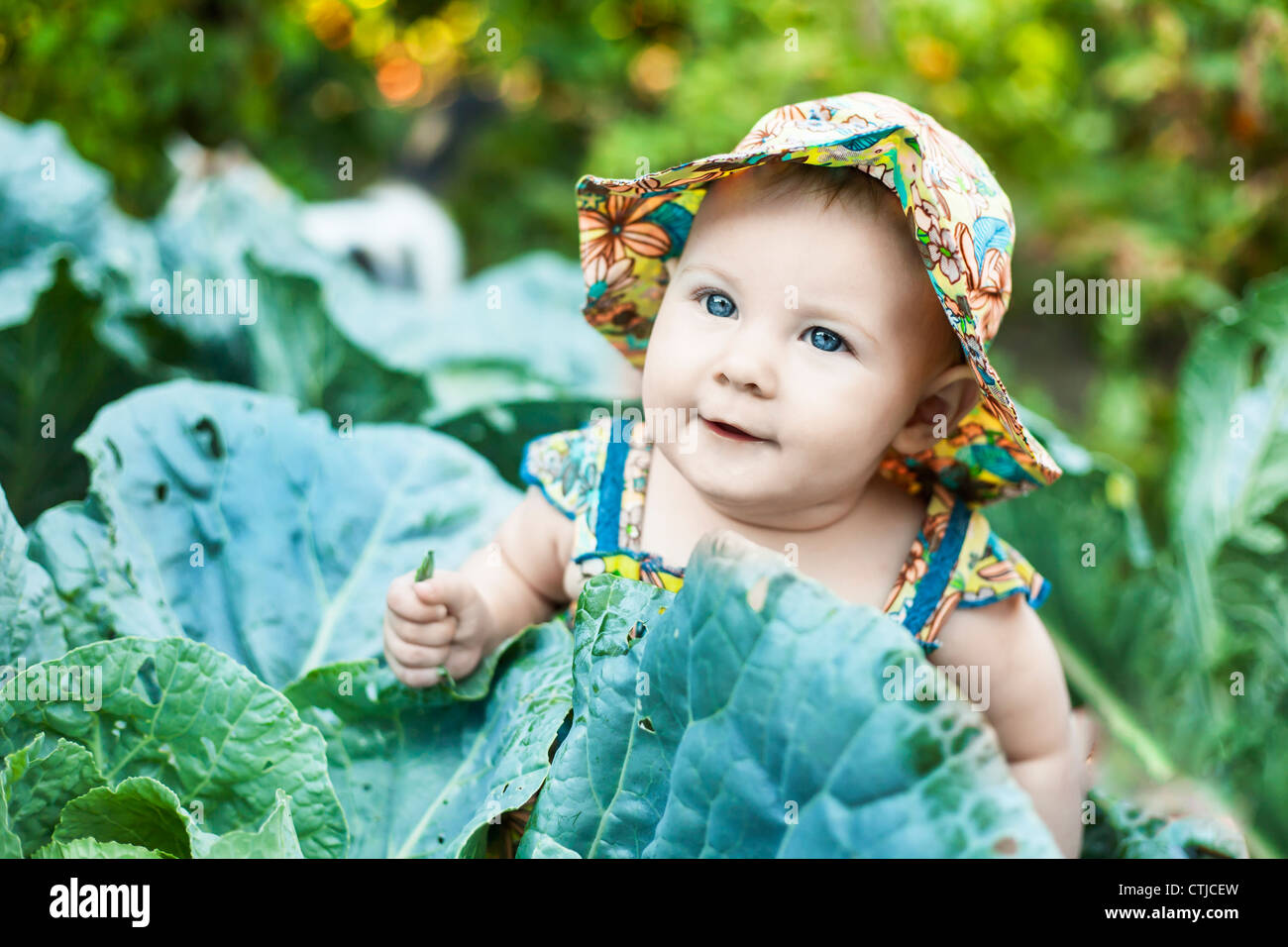 Happy little child in cabbage Stock Photo - Alamy