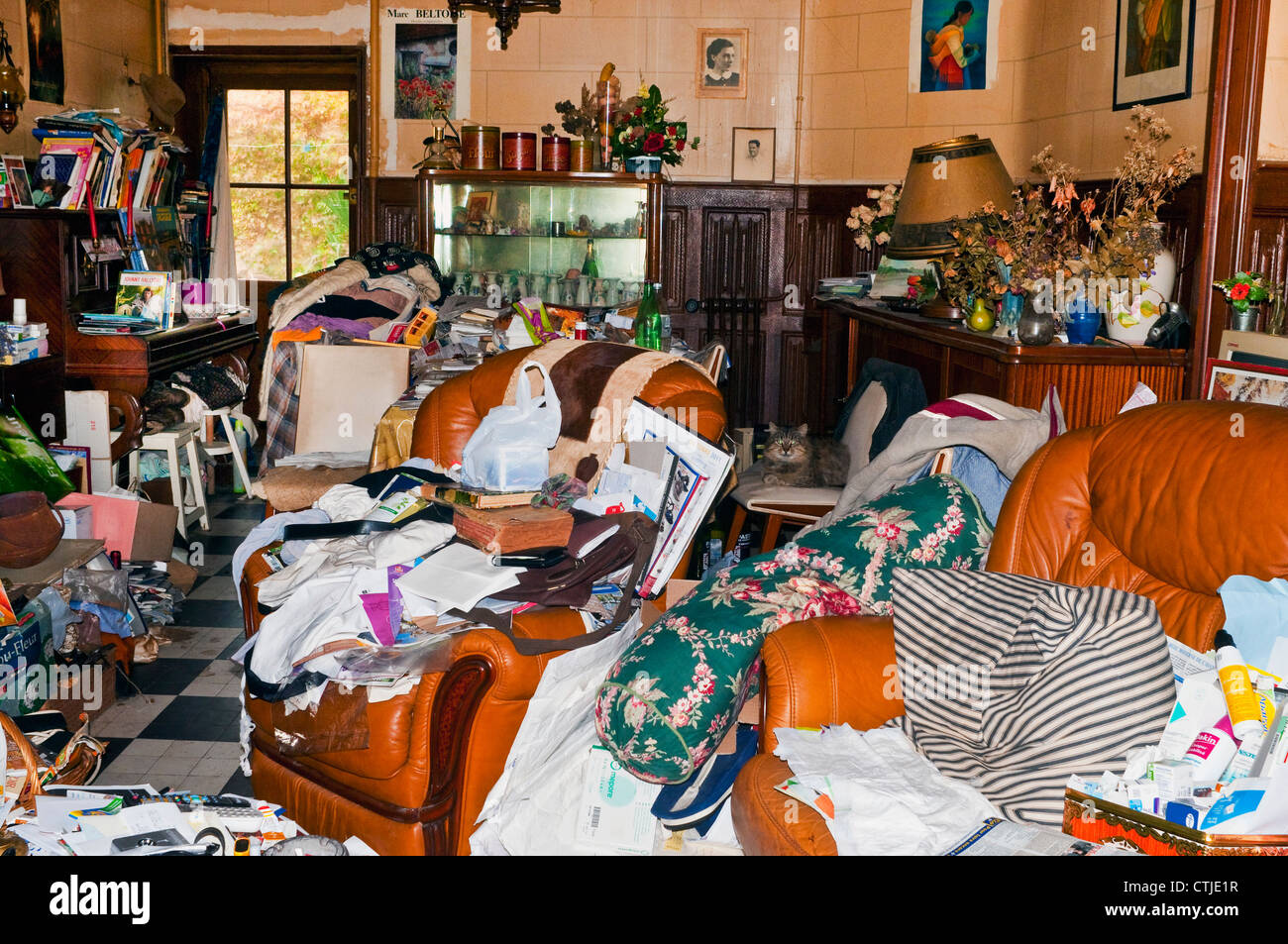 Disgusting domestic slum living conditions - France Stock Photo - Alamy