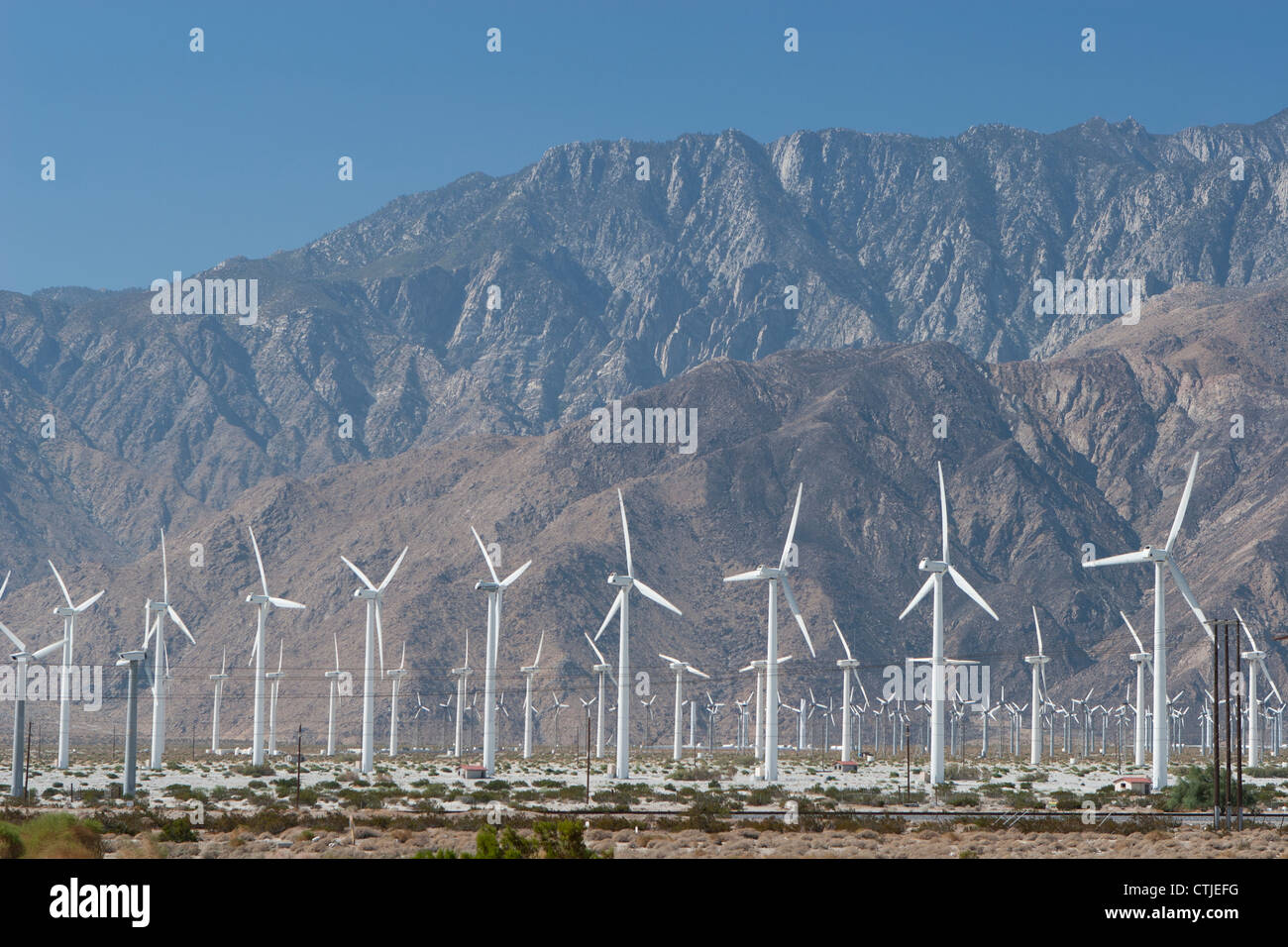 Windmill Farm With Desert Mountain In The Distance And Blue Sky; Palm ...
