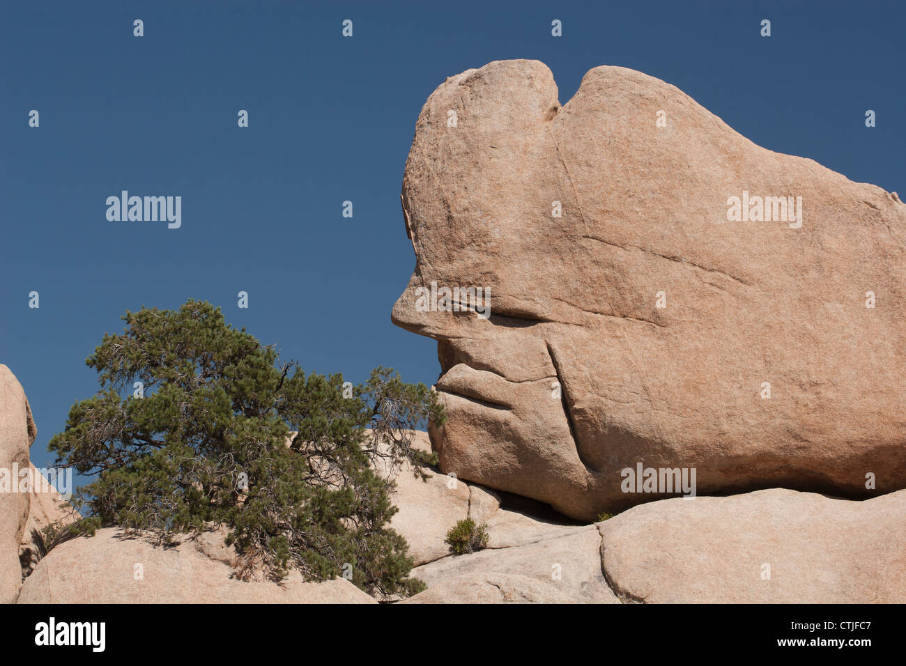 Human formation hi-res stock photography and images - Alamy