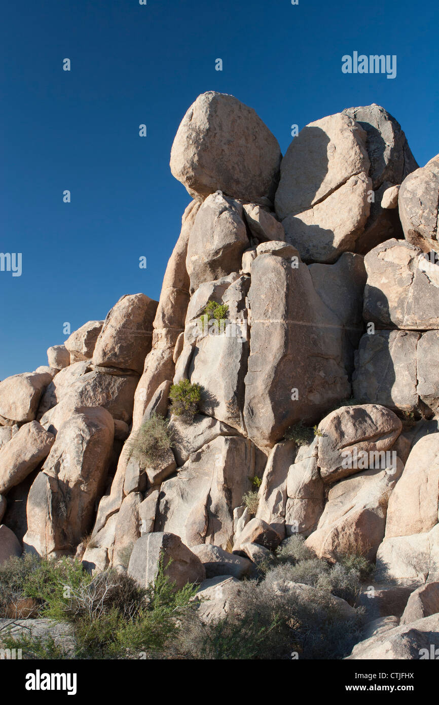 Rounded shrubs hi-res stock photography and images - Alamy