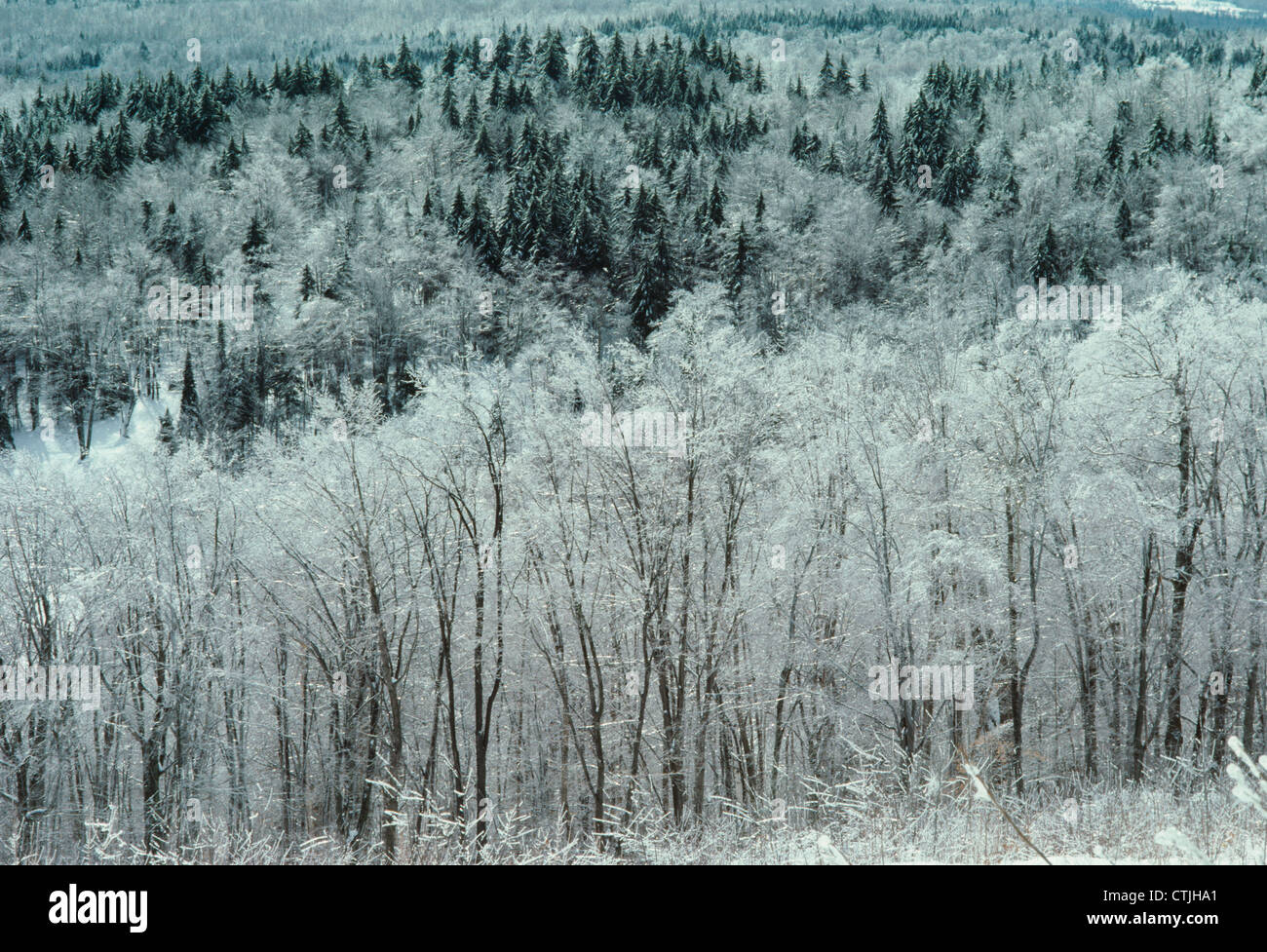 Vermont snow storm hi-res stock photography and images - Alamy