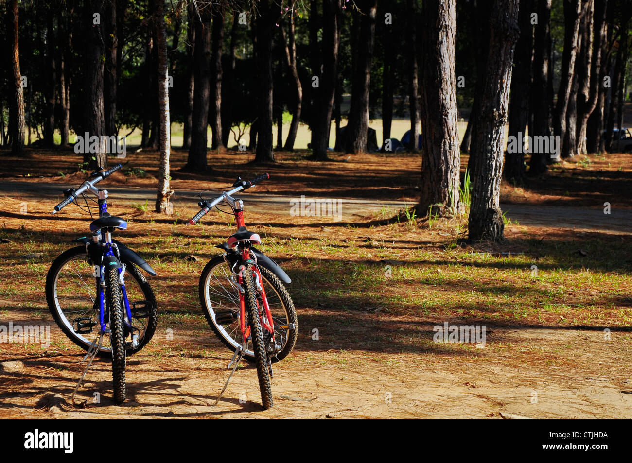Bicycle parked in park Stock Photo - Alamy