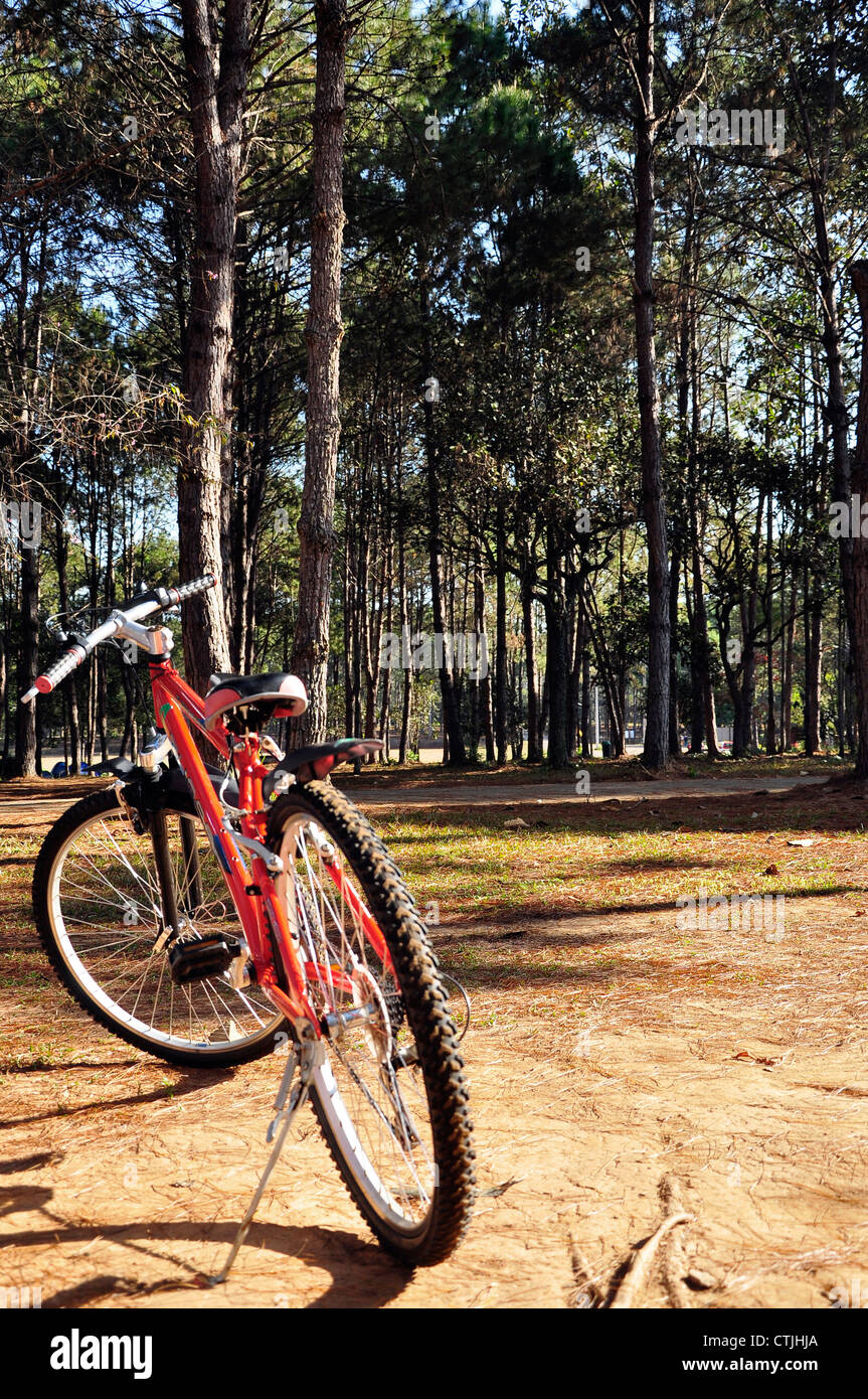 Bicycle parked in park Stock Photo - Alamy