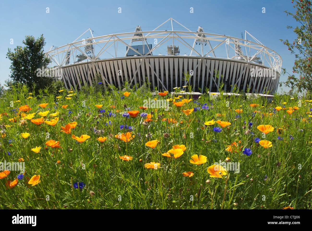Stadium wild park hi-res stock photography and images - Alamy