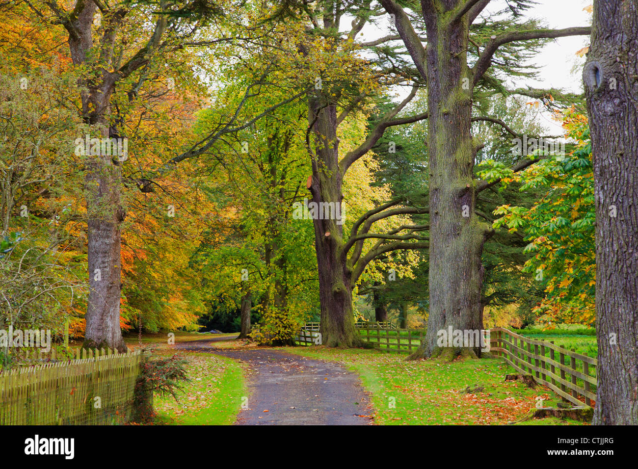 Changing borders hi-res stock photography and images - Alamy