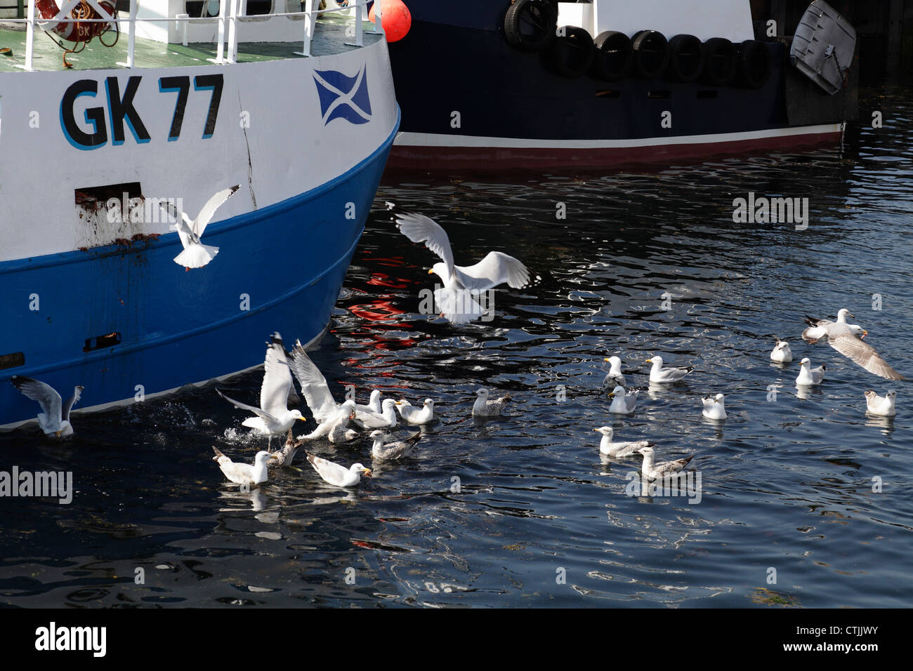 Small fishing boat in Largs Harbour on the Firth of Clyde, North ...