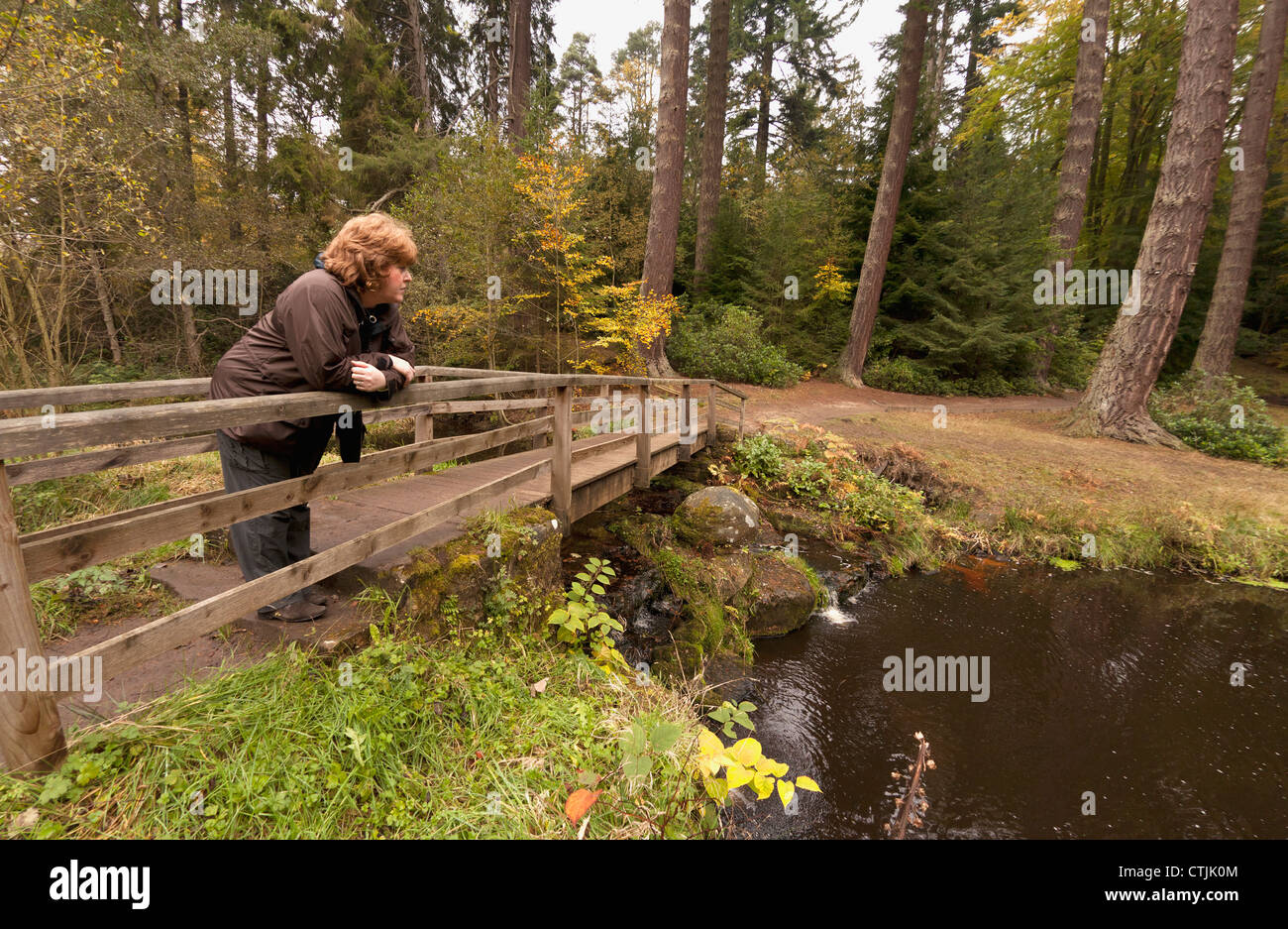 Person stands bridge over river hi-res stock photography and images - Alamy