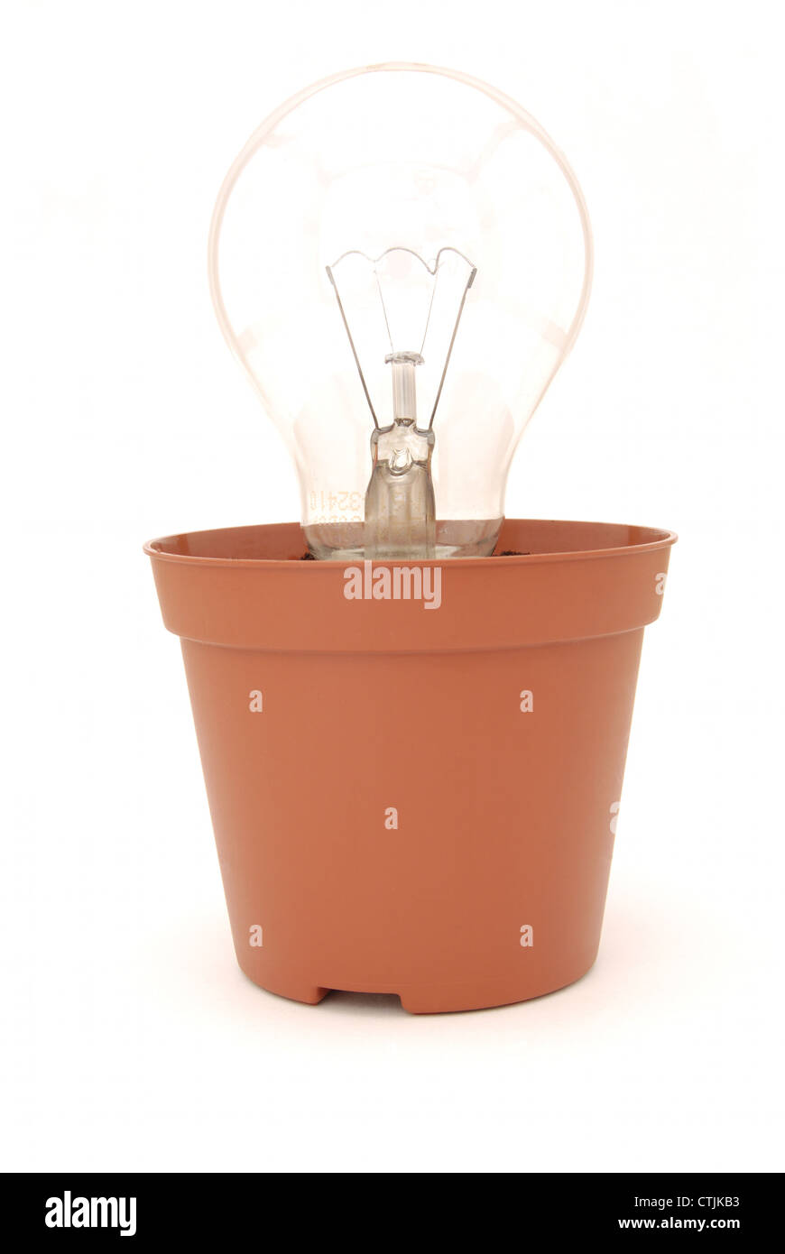 Light bulb in a plant pot isolated on a white background Stock Photo ...